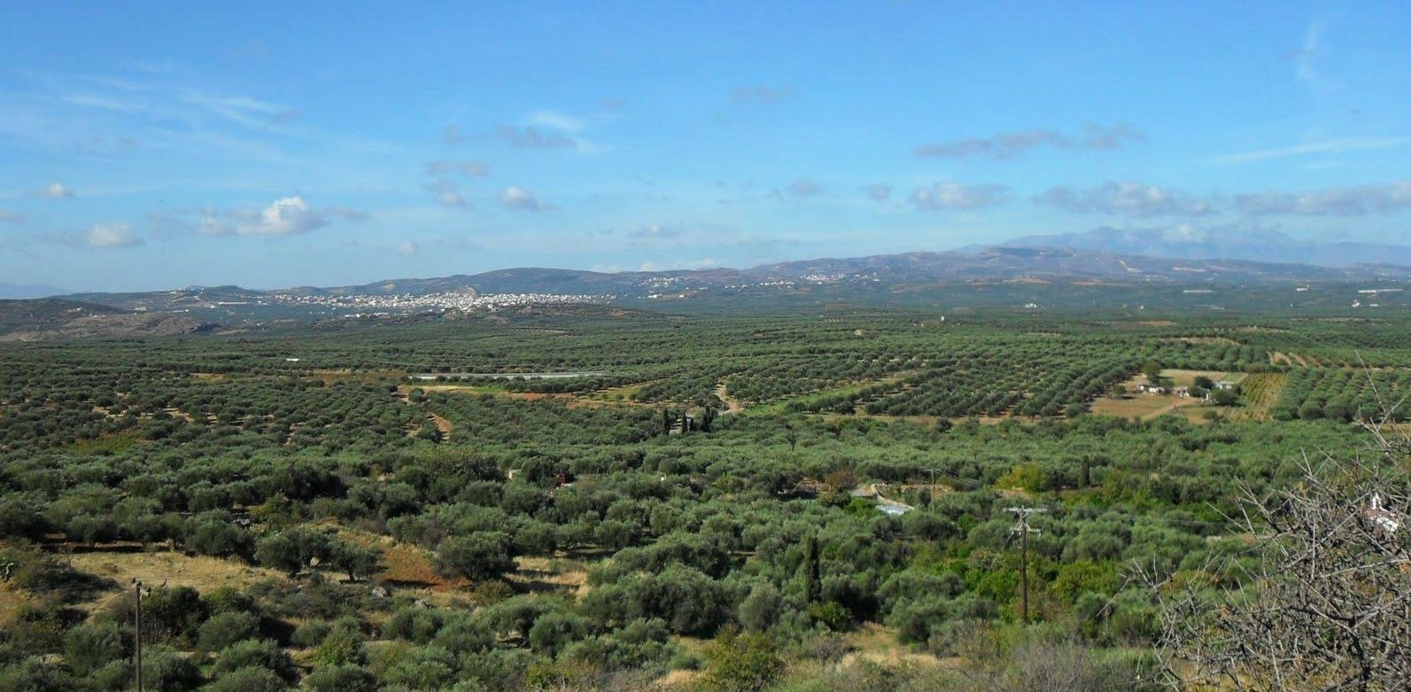 Ελεγχοι από την Επιθεώρηση Εργασίας και το ΕΚΗ: Δούλευαν ανασφάλιστοι ...